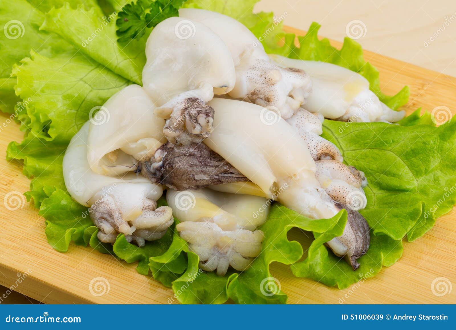 Raw cuttlefish stock image. Image of seafood, freshness - 51006039