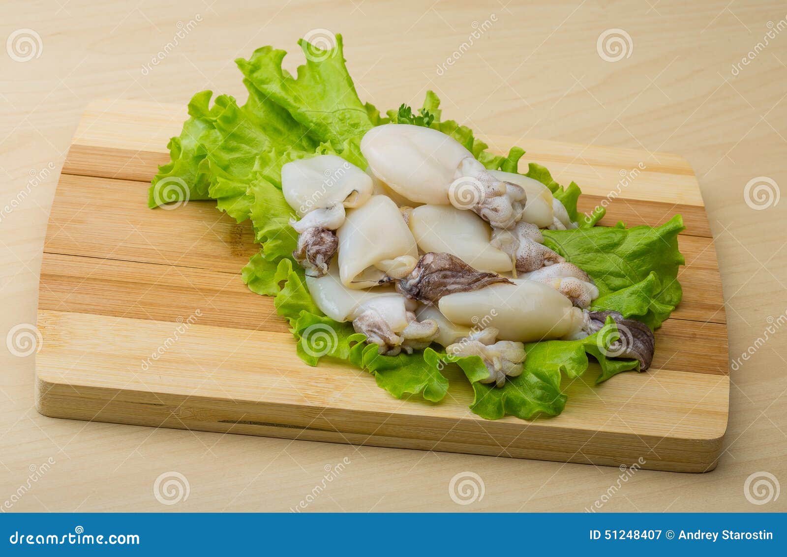 Raw cuttlefish stock image. Image of rustic, invertebrate - 51248407