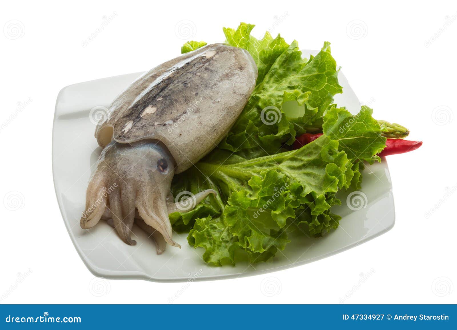 Raw cuttlefish stock image. Image of gourmet, life, healthy - 47334927
