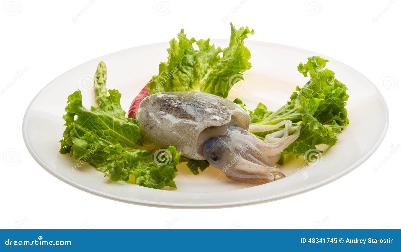 Raw cuttlefish stock image. Image of tasty, healthy, cuisine - 48341745