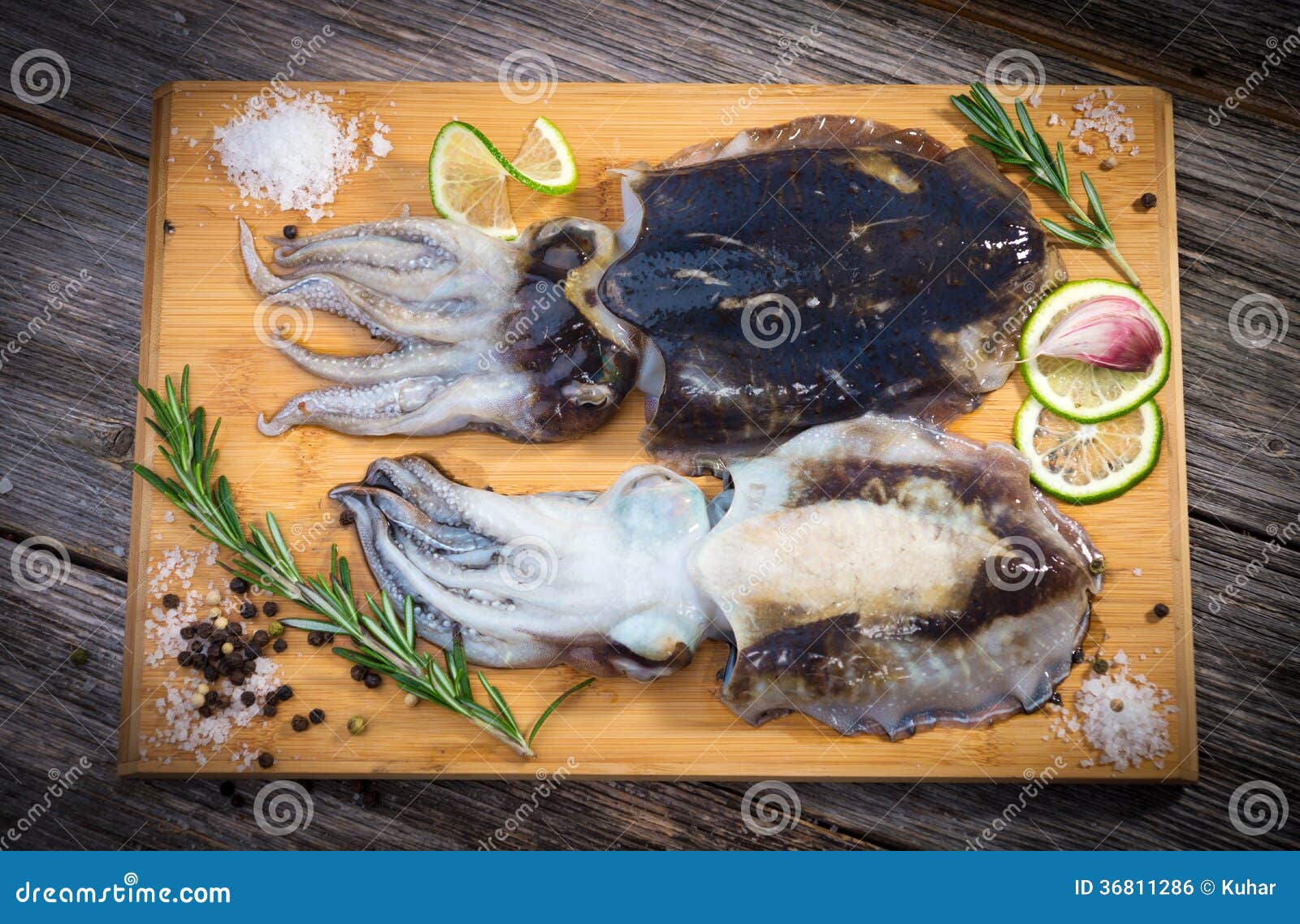 Raw cuttlefish stock photo. Image of cutting, pets, seafood - 36811286
