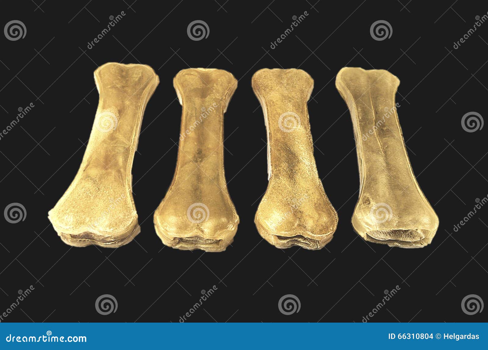 Raw dog bones stock photo. Image of chewy, food, play - 66310804