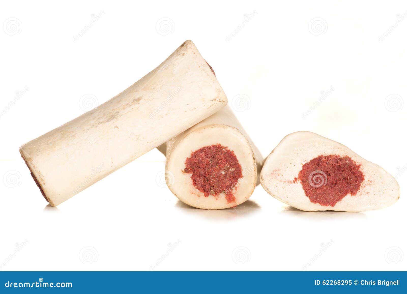 Raw Dog Bones Stock Photos - Download 170 Royalty Free Photos
