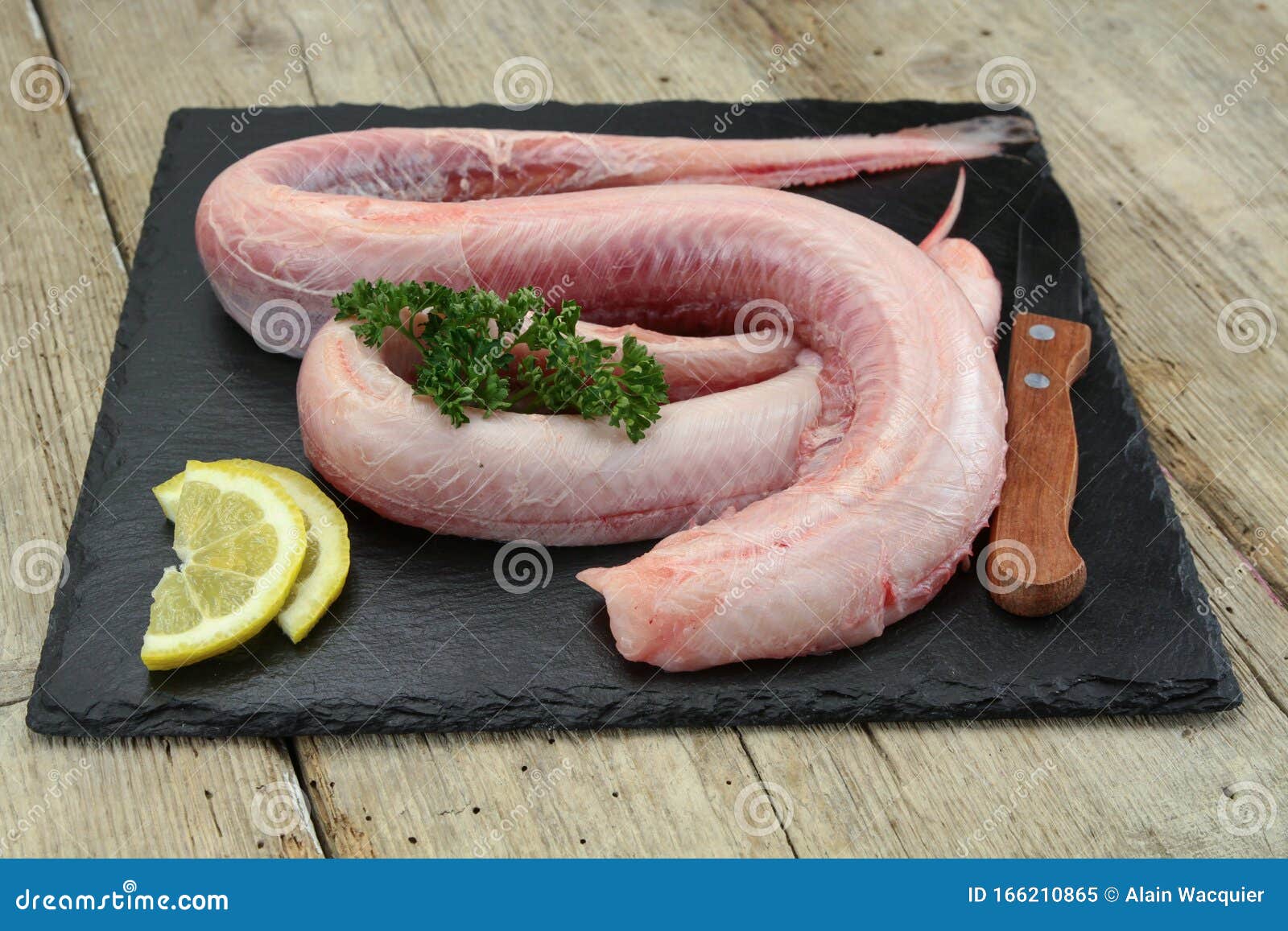 Raw dogfish stock image. Image of fresh, dogfish, kitchen - 166210865