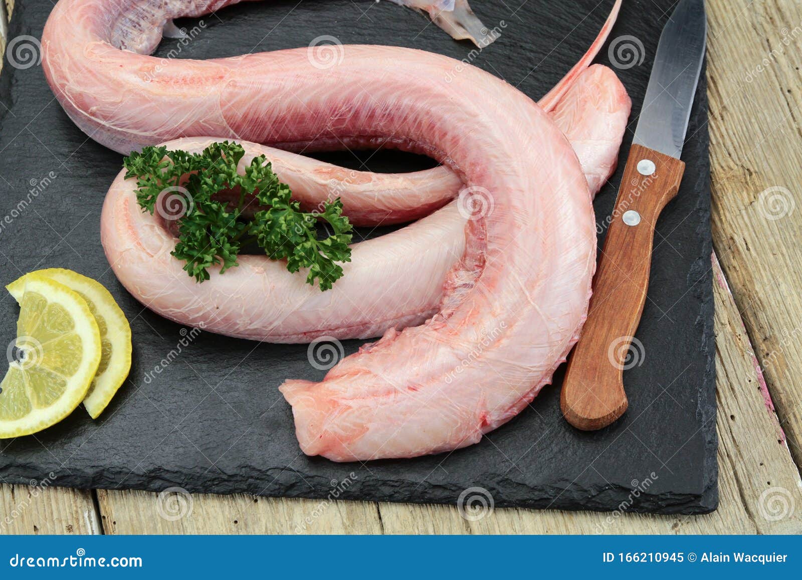 Raw dogfish stock image. Image of food, fresh, kitchen - 166210945