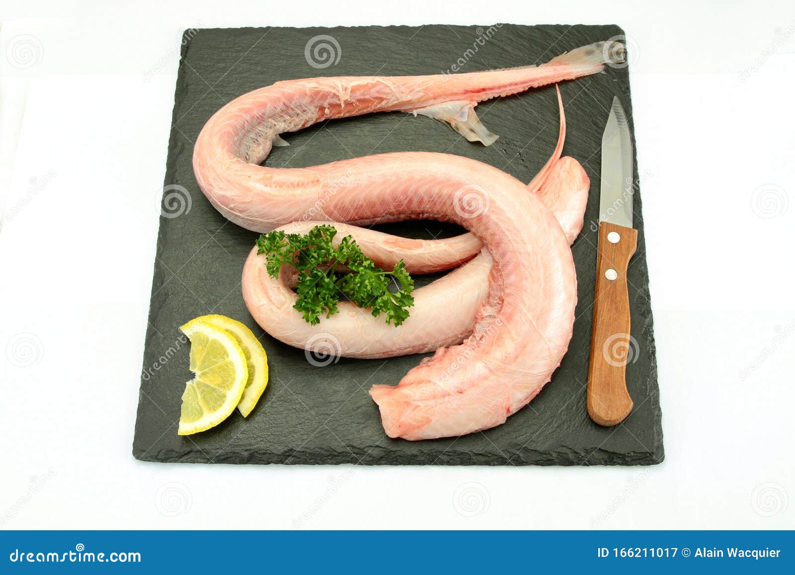 Raw dogfish stock image. Image of salmon, kitchen, fresh - 166211017