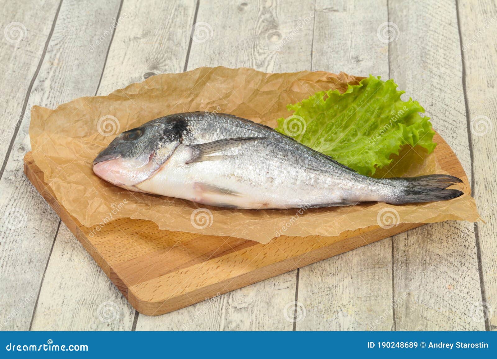 Raw Dorada Fish for Cooking Stock Image - Image of lemon, mediterranean ...