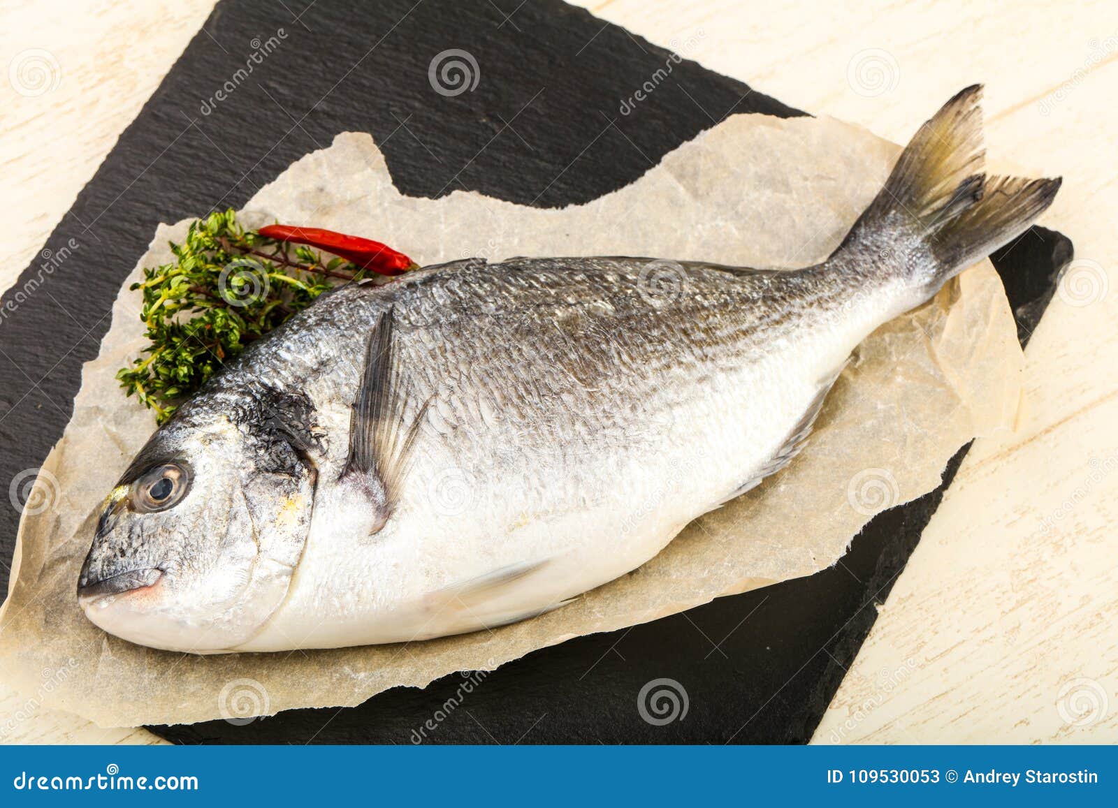 Raw dorada fish stock image. Image of preparation, dorado - 109530053