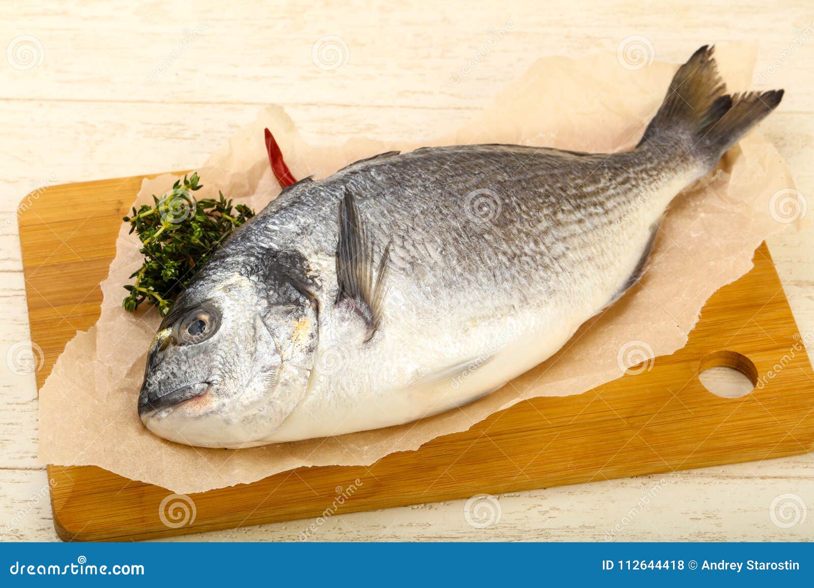 Raw dorada fish stock photo. Image of catch, freshness - 112644418