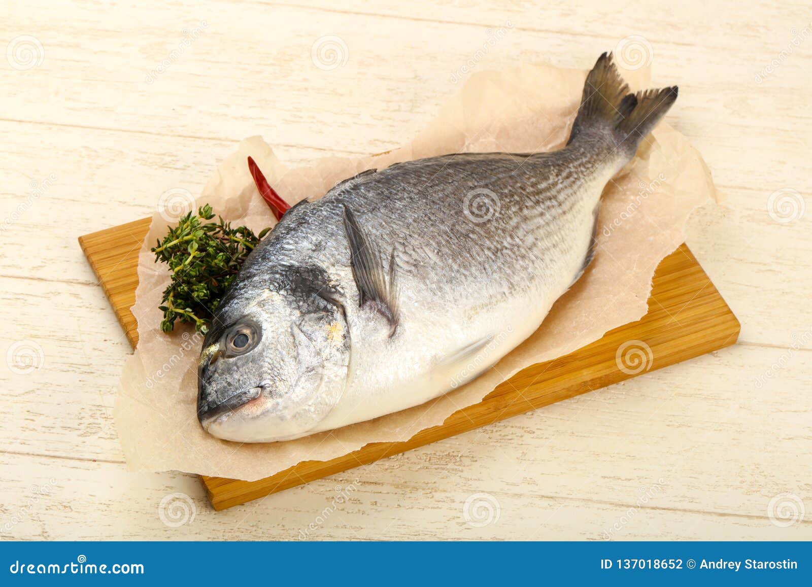Raw dorada fish stock photo. Image of fish, meat, freshness - 137018652