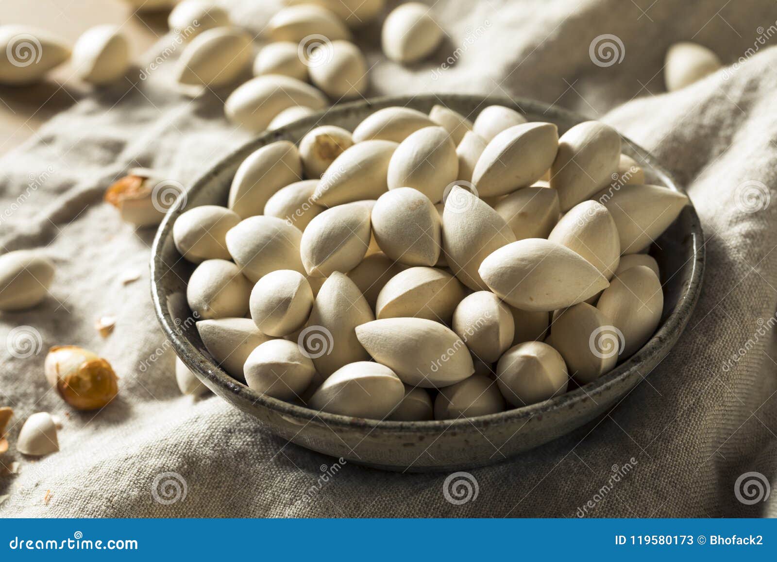 Raw Dried Organic Ginkgo Nuts Stock Image - Image of gourmet, shell ...