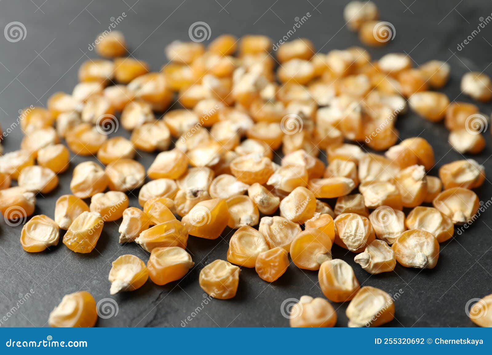 Raw Dry Corn Seeds on Grey Background, Closeup. Vegetable Planting ...