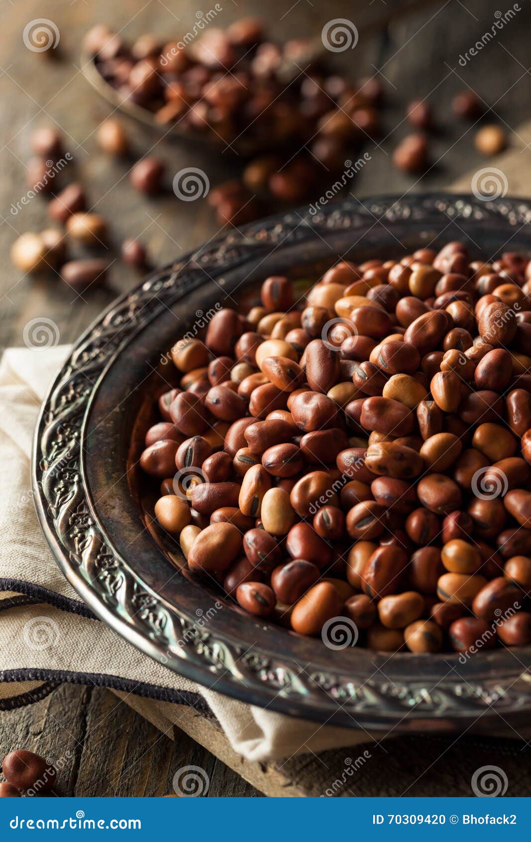 Raw Dry Organic Fava Beans stock photo. Image of health - 70309420