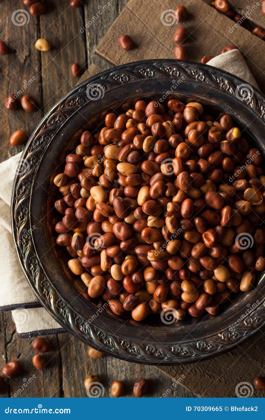 Raw Dry Organic Fava Beans stock image. Image of nature - 70309665