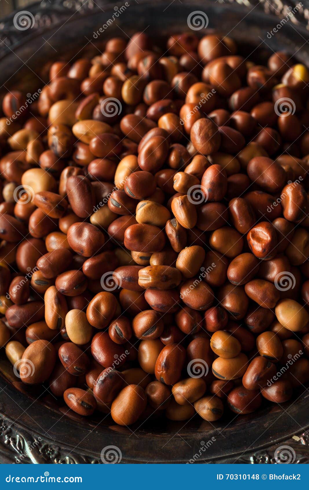 Raw Dry Organic Fava Beans stock photo. Image of nutritional - 70310148