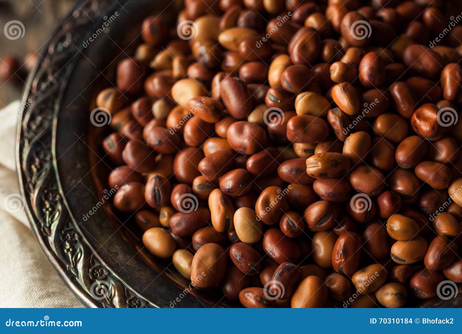 Raw Dry Organic Fava Beans stock photo. Image of natural - 70310184
