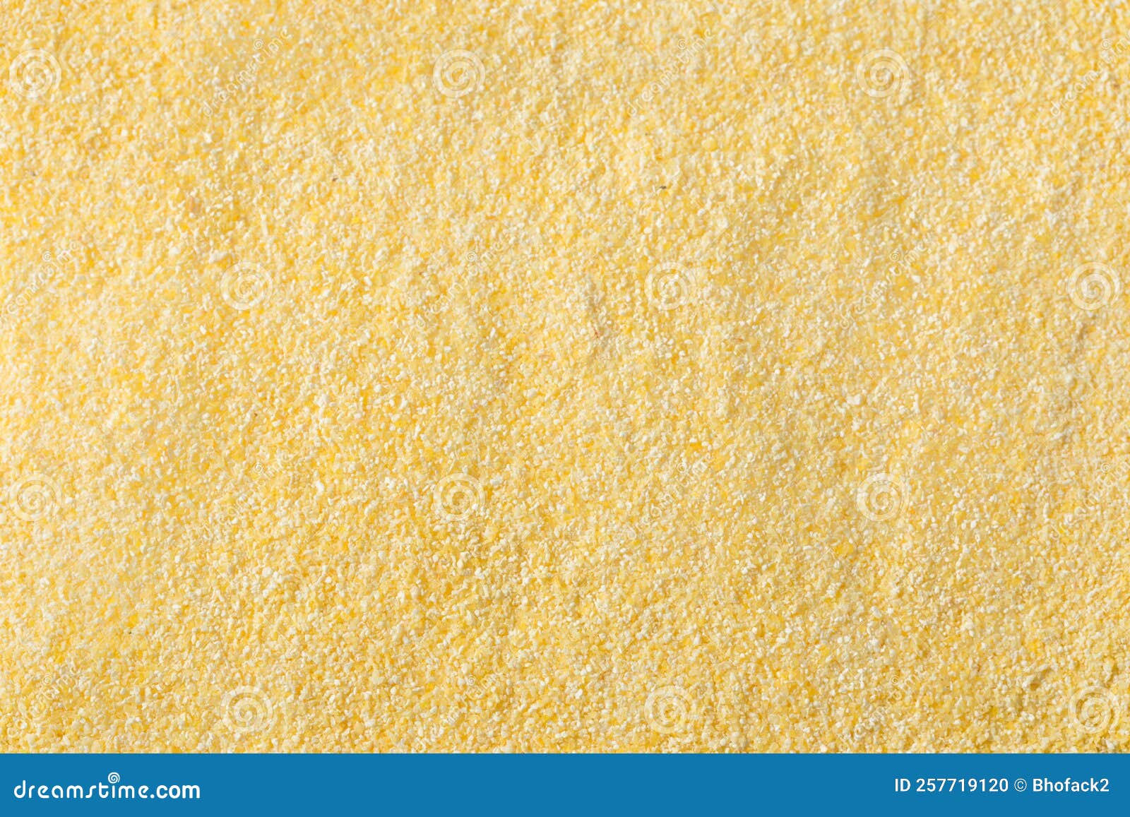 Raw Dry Organic Instant Polenta Stock Photo - Image of uncooked, flour ...