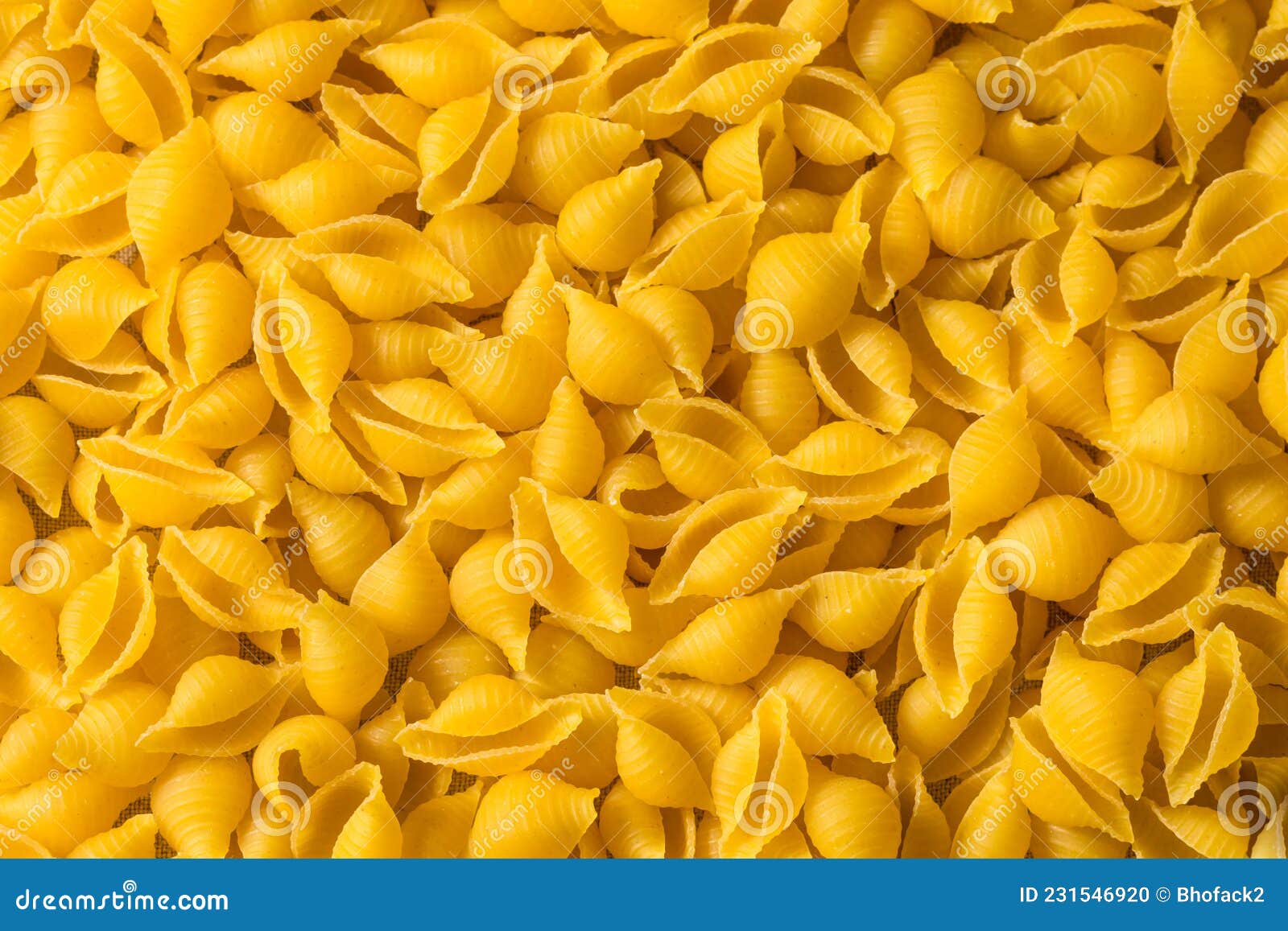 Raw Dry Organic Medium Pasta Shells Stock Photo - Image of shells ...