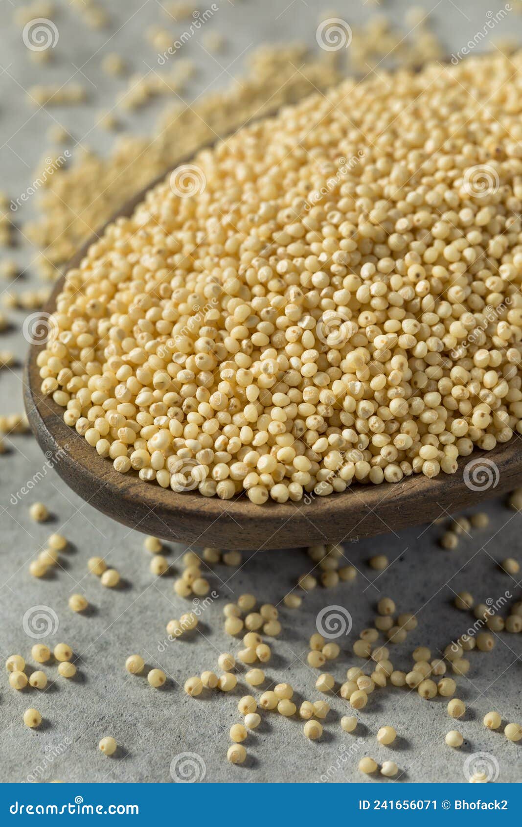 Raw Dry Organic Millet Grain Stock Image - Image of organic, healthy ...