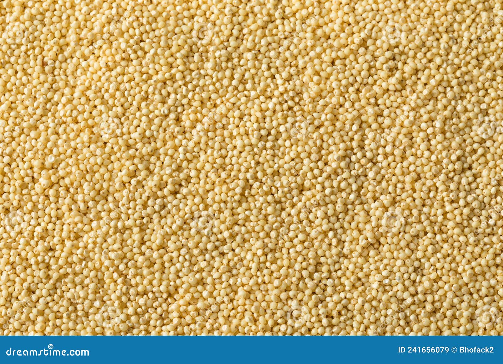 Raw Dry Organic Millet Grain Stock Image - Image of pile, healthy ...
