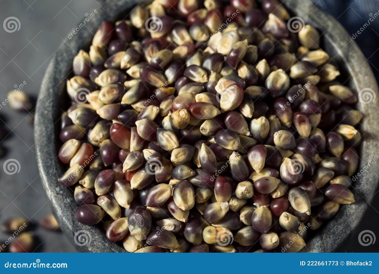 Raw Dry Organic Purple Popcorn Stock Image - Image of fresh, popcorn ...