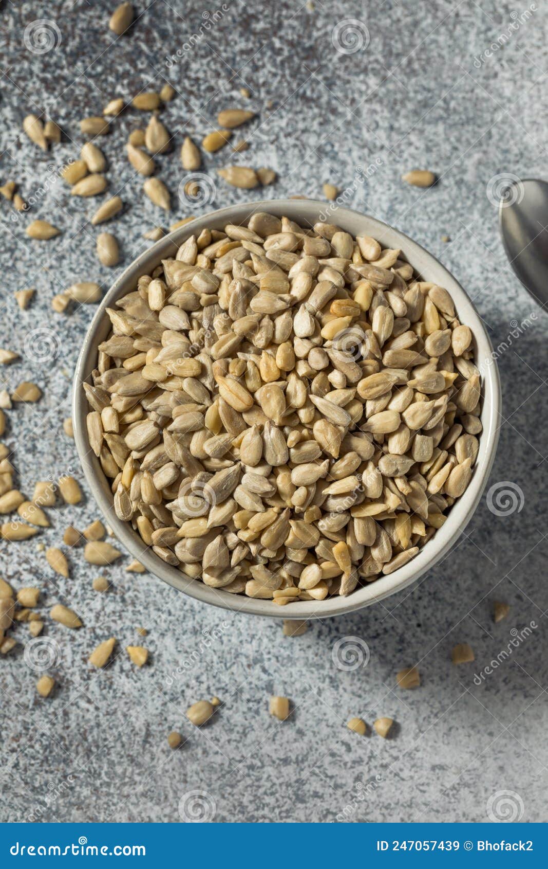 Raw Dry Organic Sunflower Seed Kernels Stock Image - Image of seeds ...