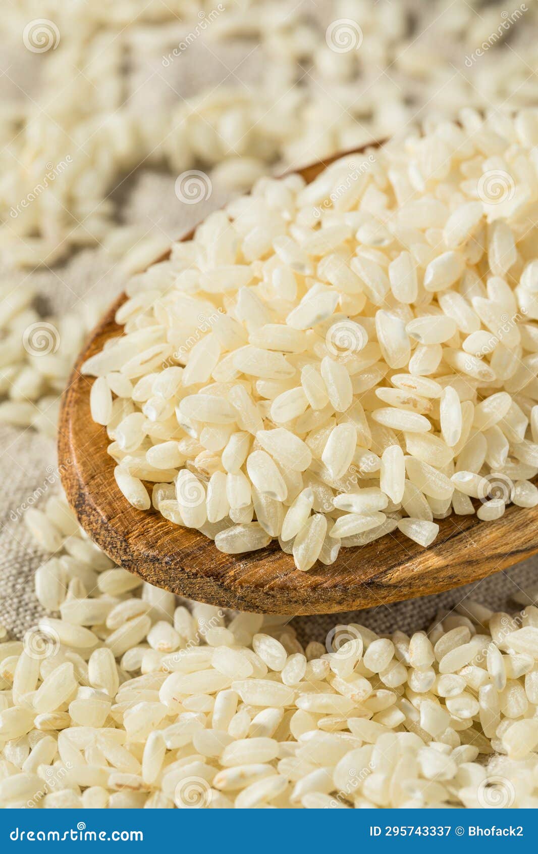 Raw Dry White Arborio Rice stock image. Image of natural - 295743337