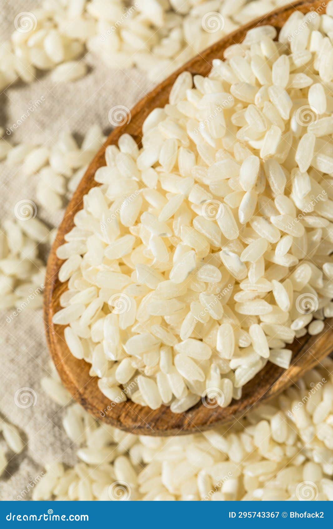 Raw Dry White Arborio Rice stock image. Image of diet - 295743367