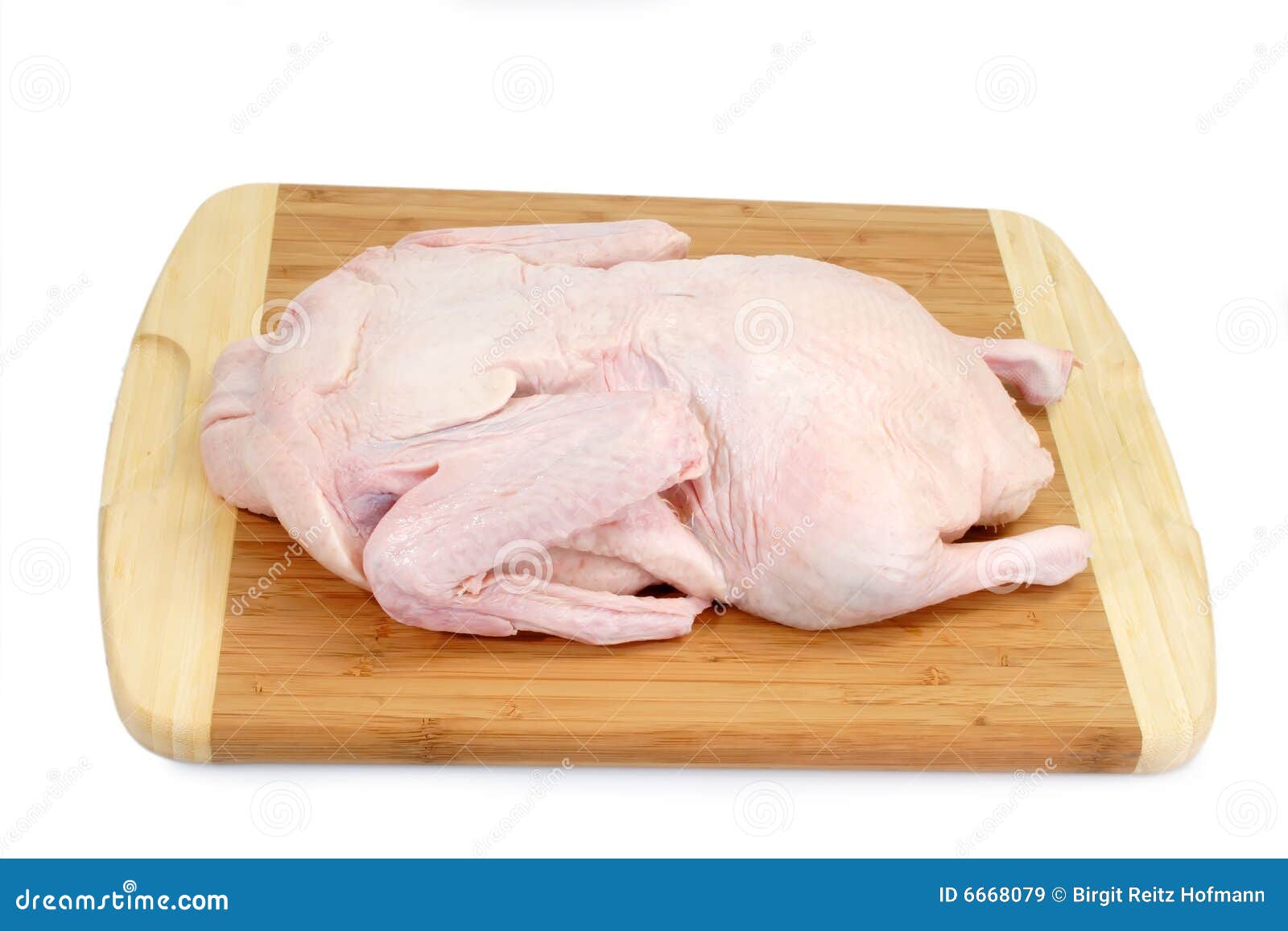 Raw duck_2 stock image. Image of poultry, meat, cooking - 6668079