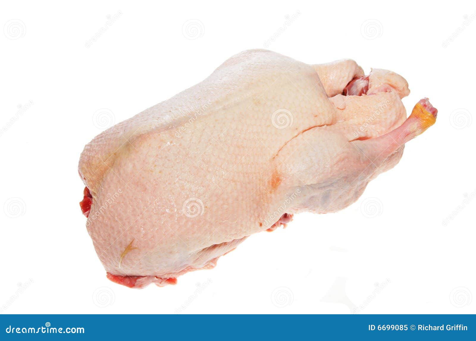 Raw duck stock image. Image of fresh, protein, duck, isolated - 6699085