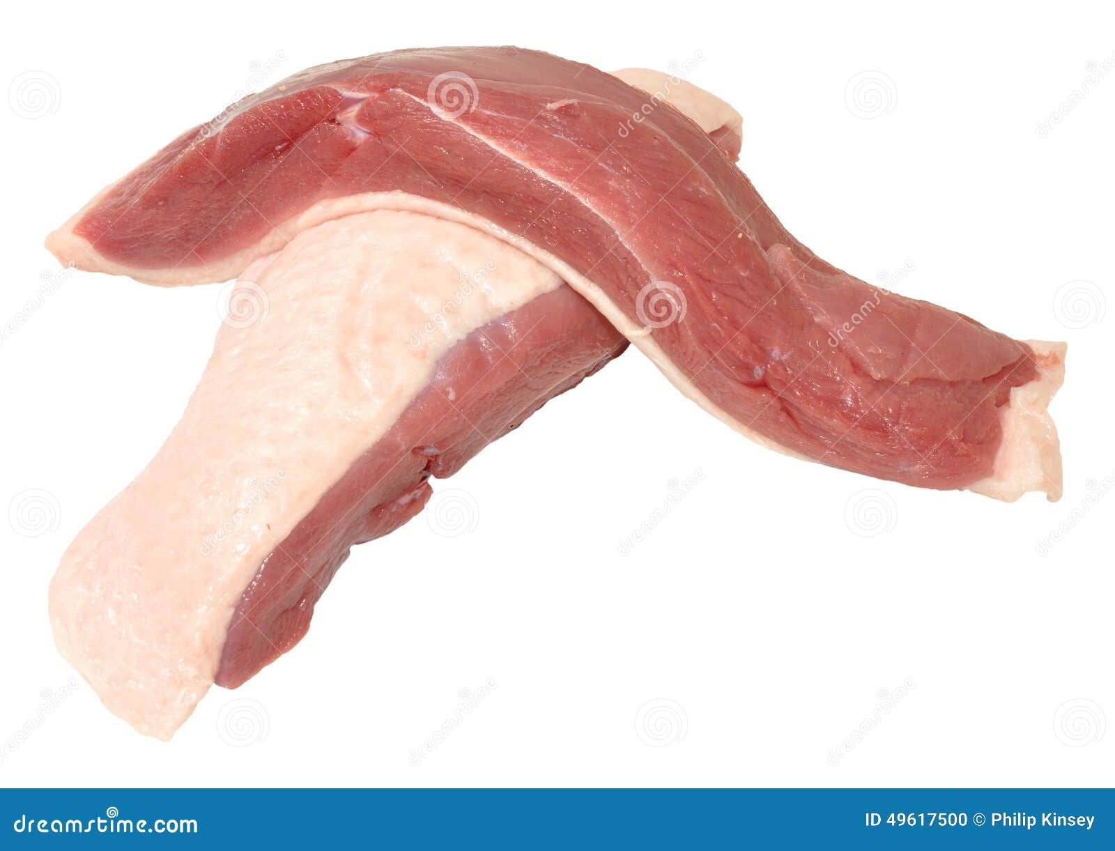 Raw Duck Breast Meat stock photo. Image of fresh, meat - 49617500
