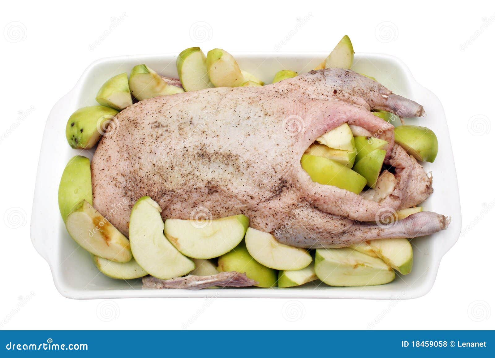 Raw duck ready for cook stock photo. Image of salt, bird - 18459058
