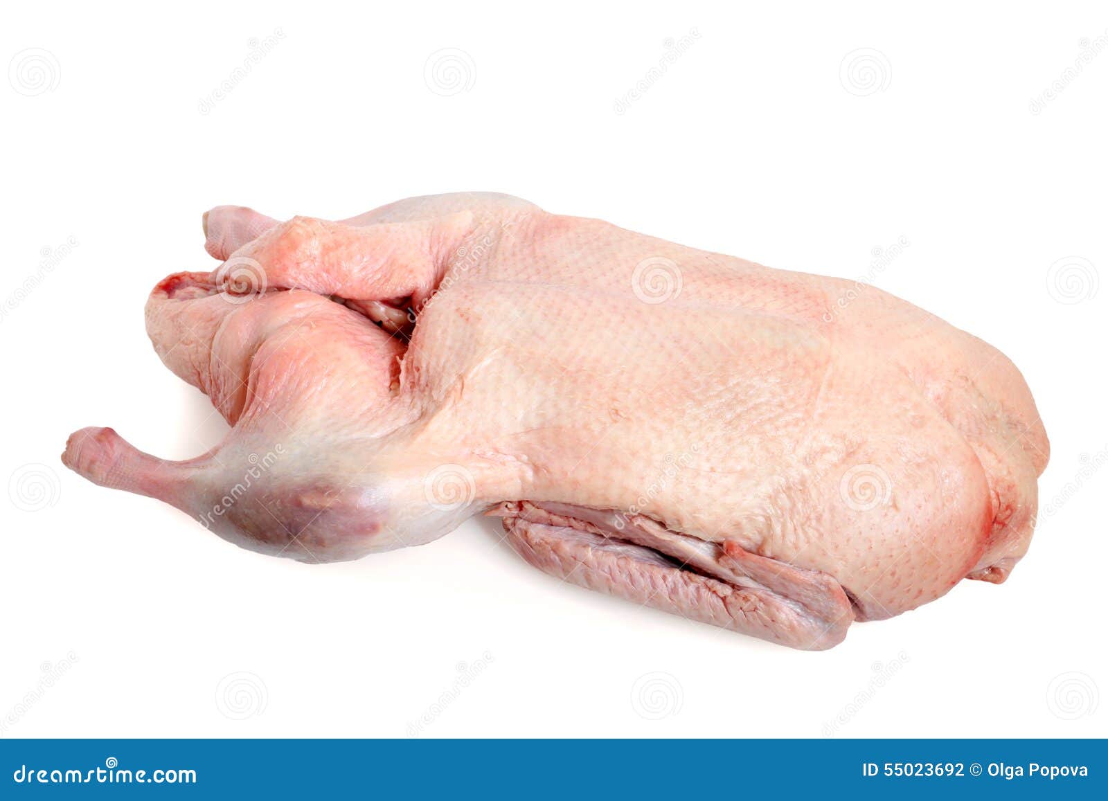 Raw duck stock photo. Image of bird, culinary, cooking - 55023692