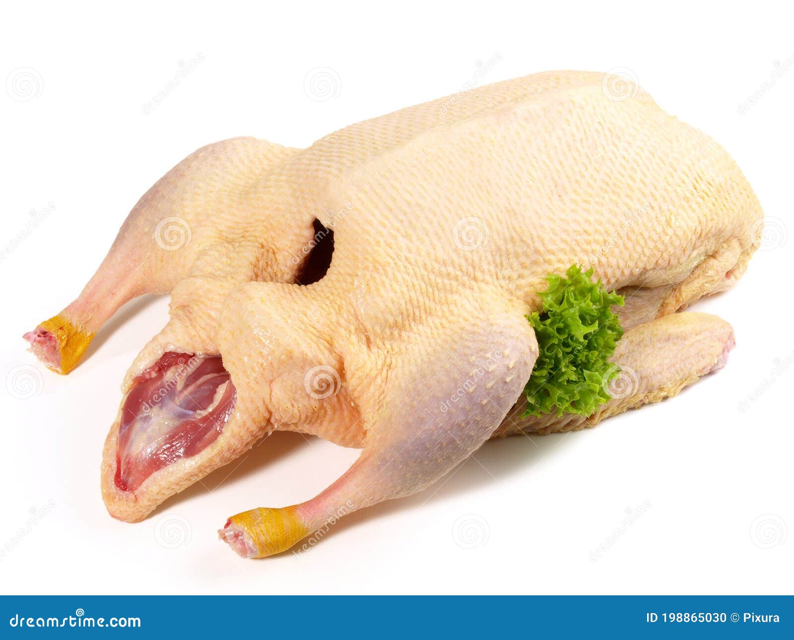 Raw Duck Isolated on White Background Stock Photo - Image of cooking ...