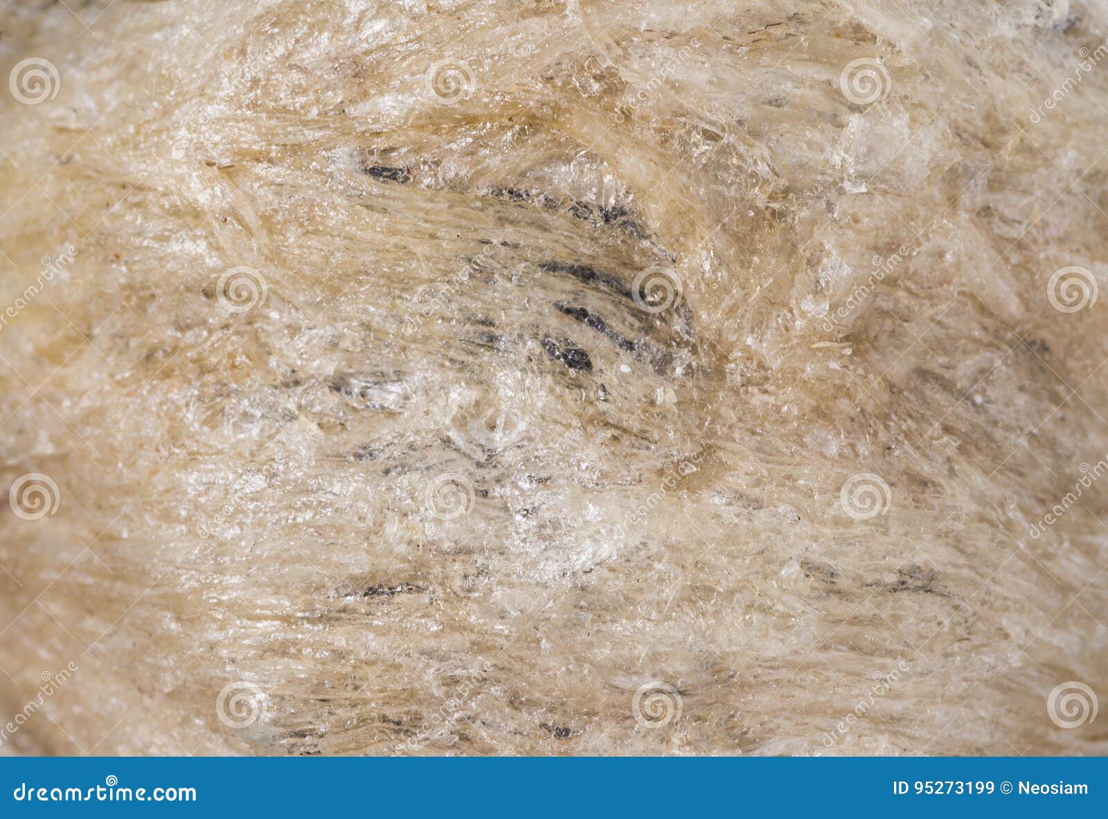 Raw Edible Bird`s Nest Texture Stock Image - Image of lifestyle, birds ...