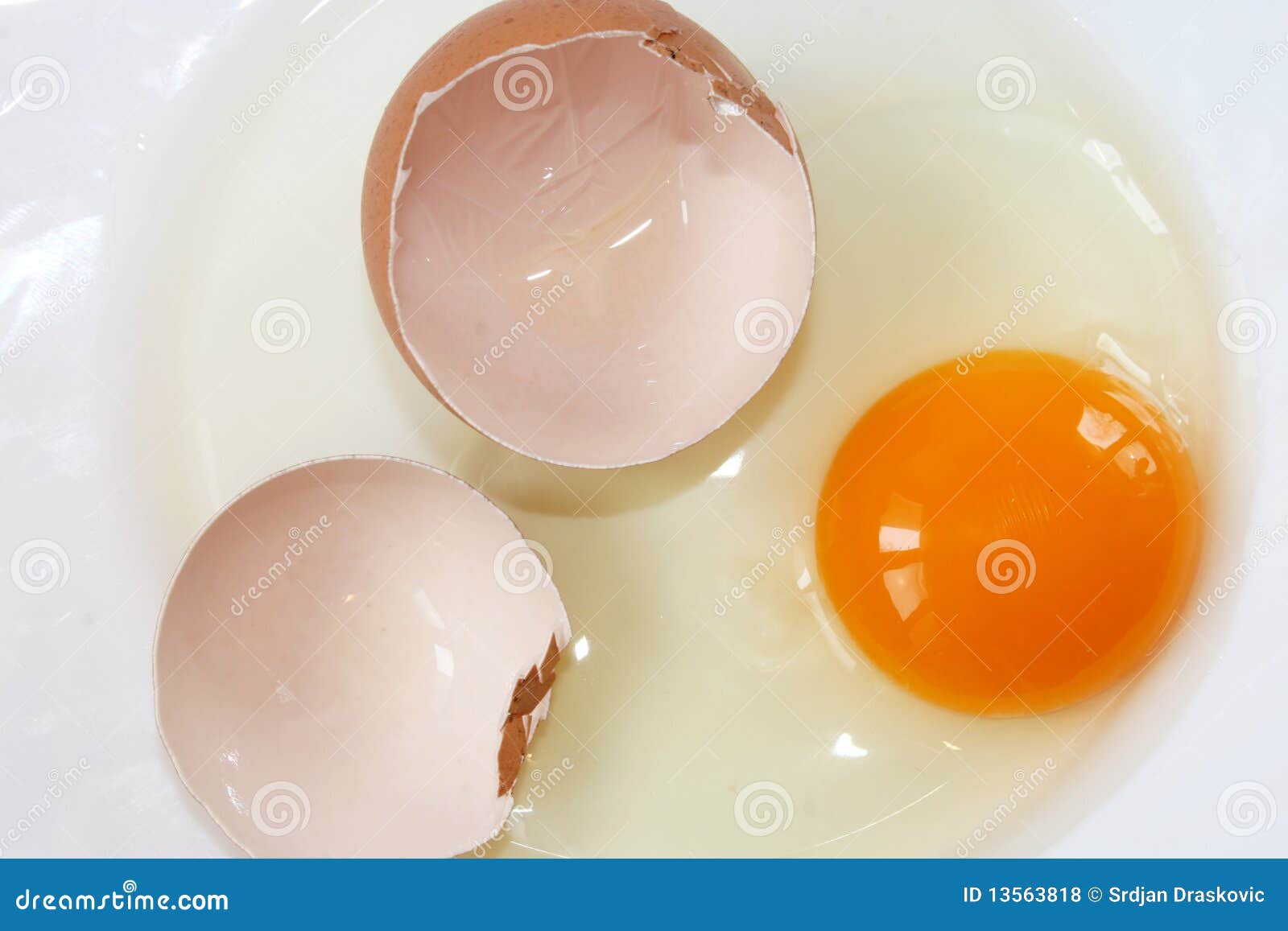 Raw egg stock photo. Image of embryo, fresh, open, breakfast - 13563818