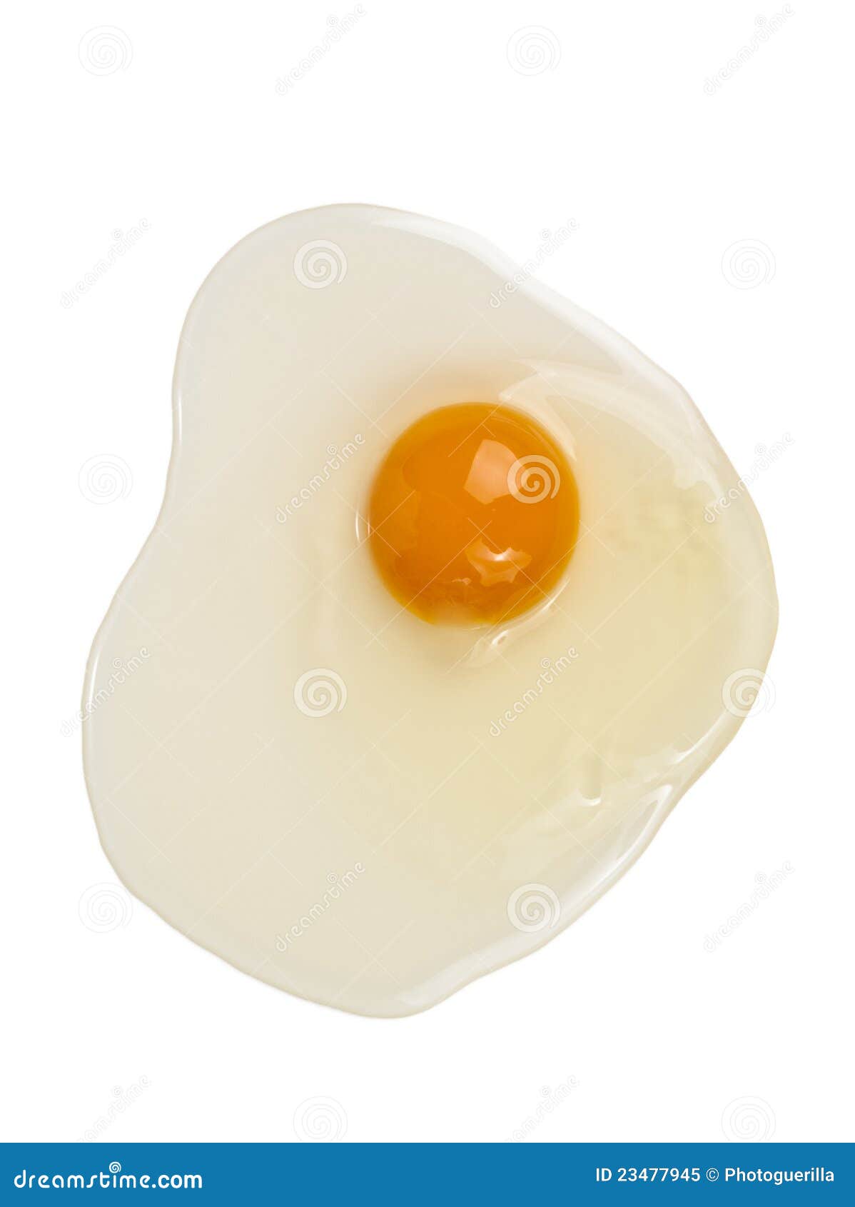 Raw Egg stock image. Image of white, isolated, food, background - 23477945