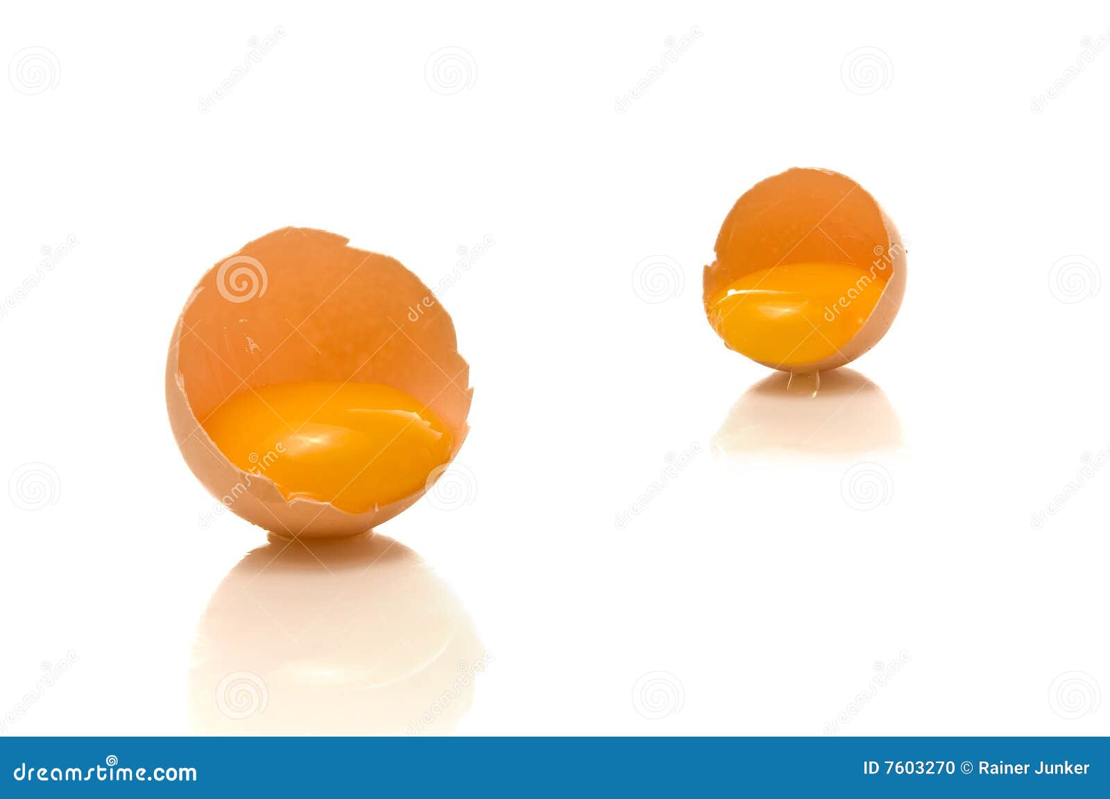 Raw egg stock photo. Image of yolk, shell, baking, chicken - 7603270
