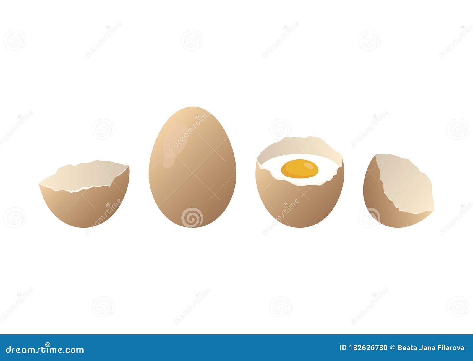 Raw Egg in Shell Icon Set Vector Stock Vector - Illustration of cooking ...