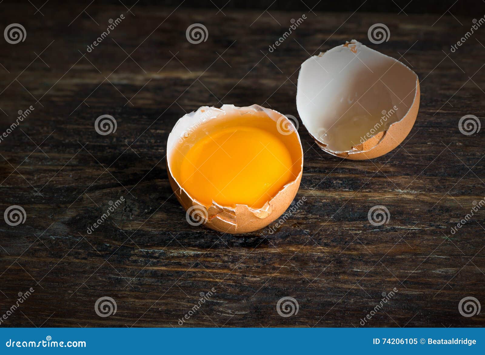 Raw egg in shell stock image. Image of nutritious, healthy - 74206105