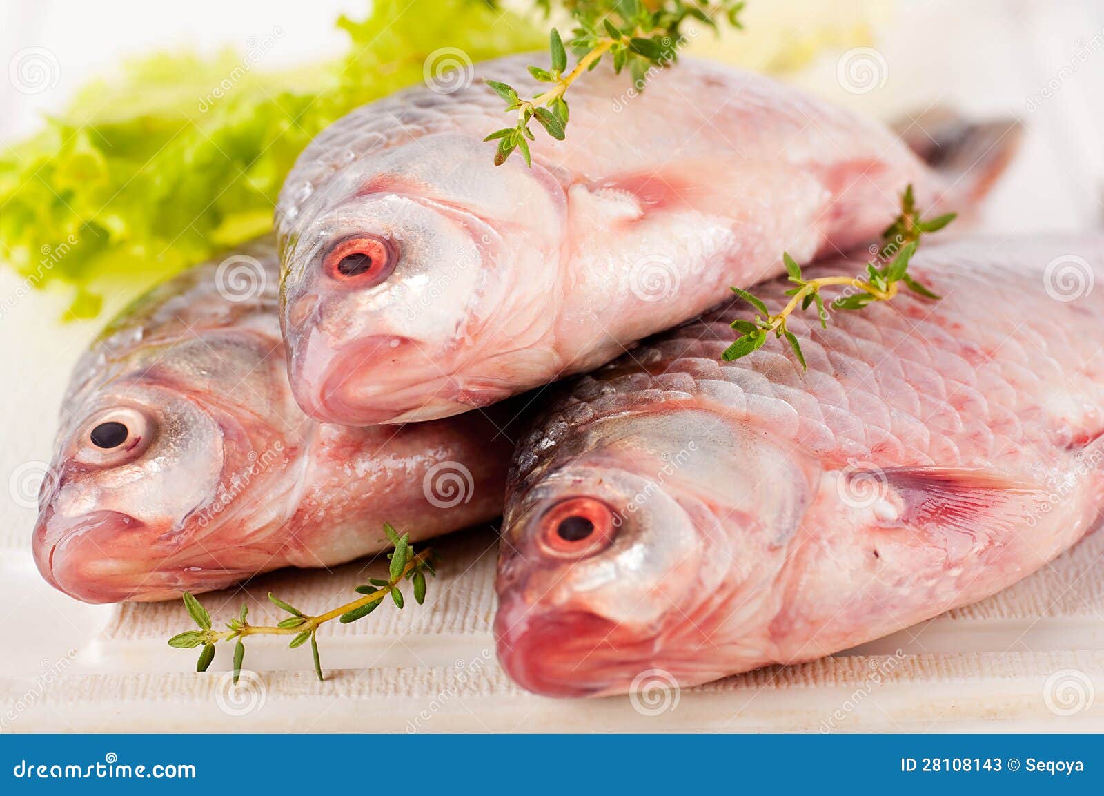 Raw European carp stock image. Image of river, liquid - 28108143