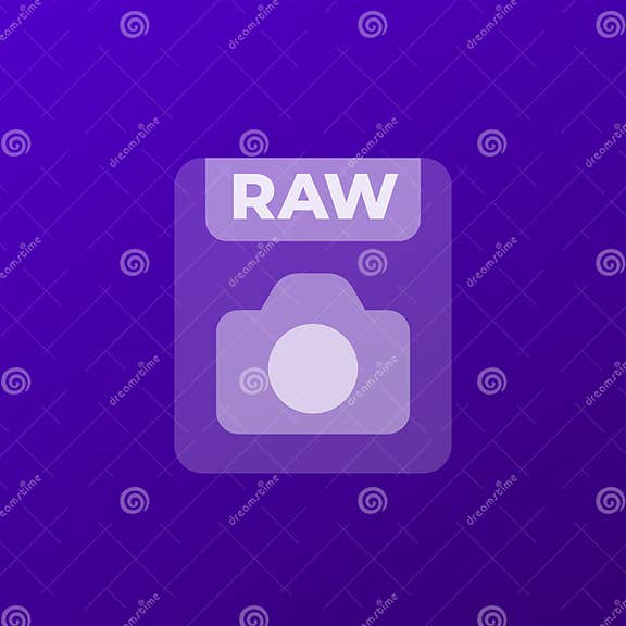Raw File Icon with a Camera, Vector Stock Illustration - Illustration ...
