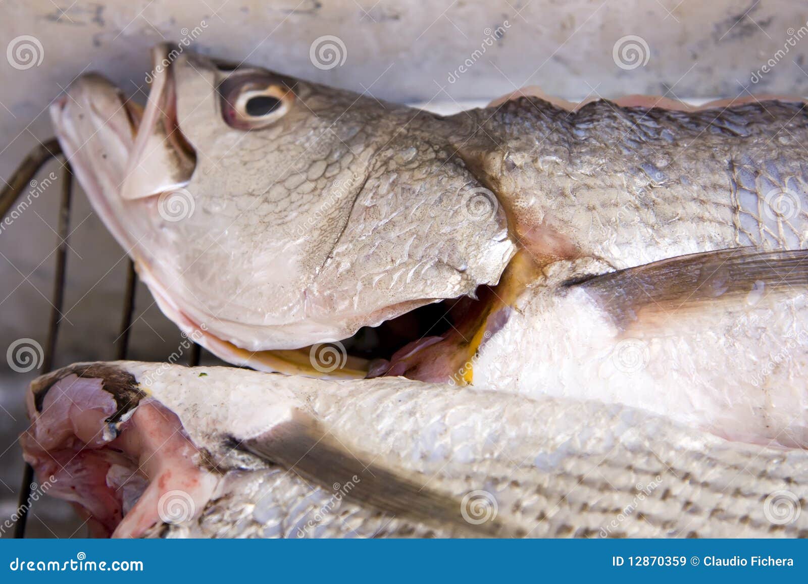 Raw fish stock image. Image of slice, color, vivid, prepared - 12870359