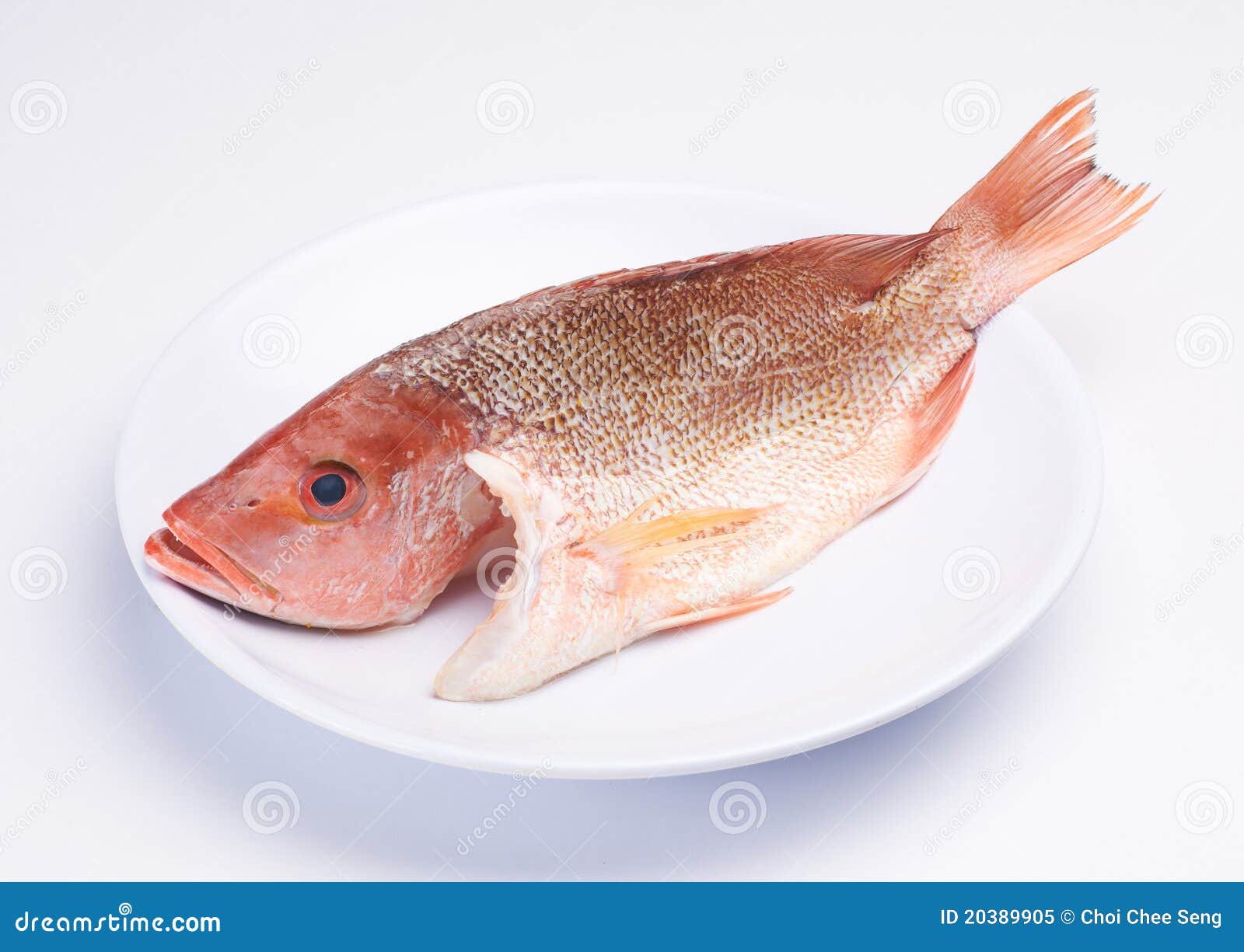 Raw fish stock image. Image of dish, fish, plate, food - 20389905