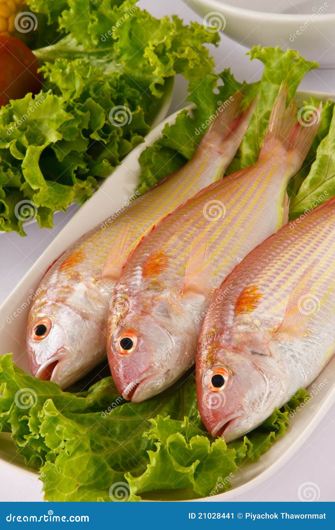 Raw fish stock image. Image of dinner, omega, market - 21028441