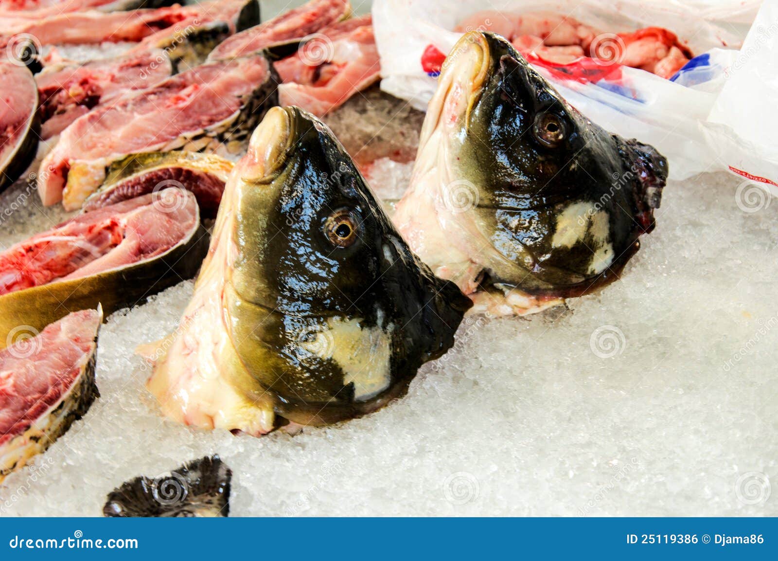 Raw fish stock photo. Image of heads, seafood, marine - 25119386
