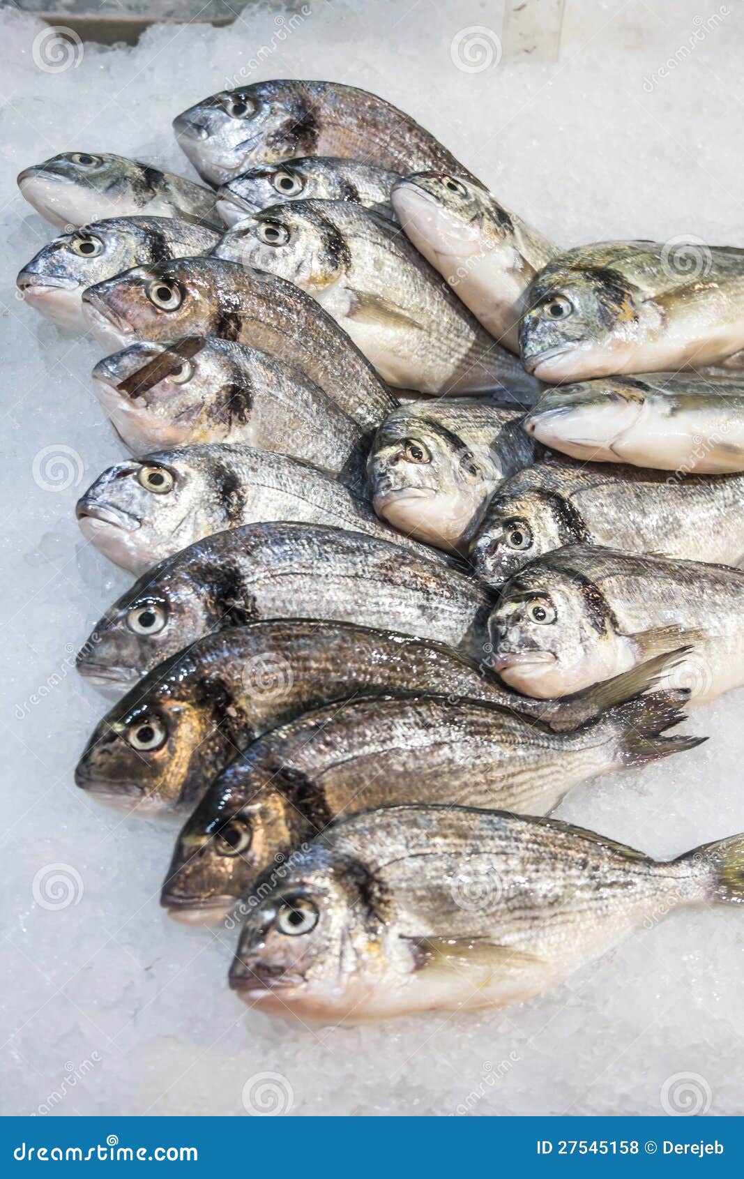 Raw fish stock photo. Image of meal, food, stacked, served - 27545158