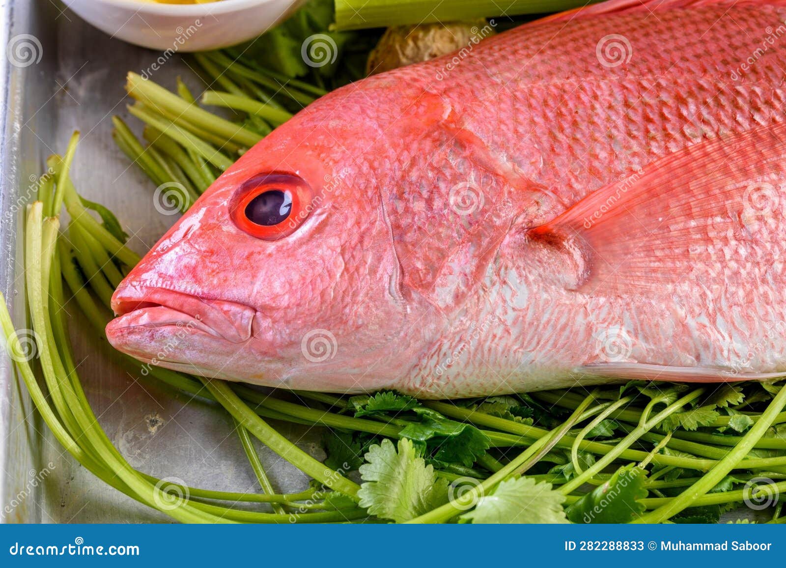 Vibrant Close-Up: Fresh Raw Red Snapper Fish with Zesty Lemon Accent in ...