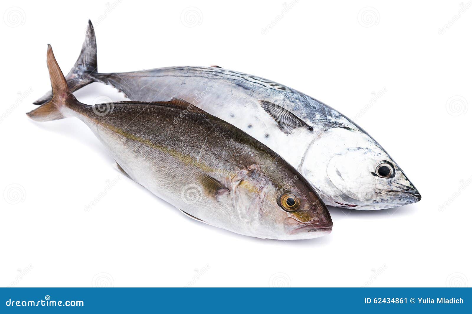 Raw Fish, Bonito and Yellowtail, Isolated on White Stock Image - Image ...