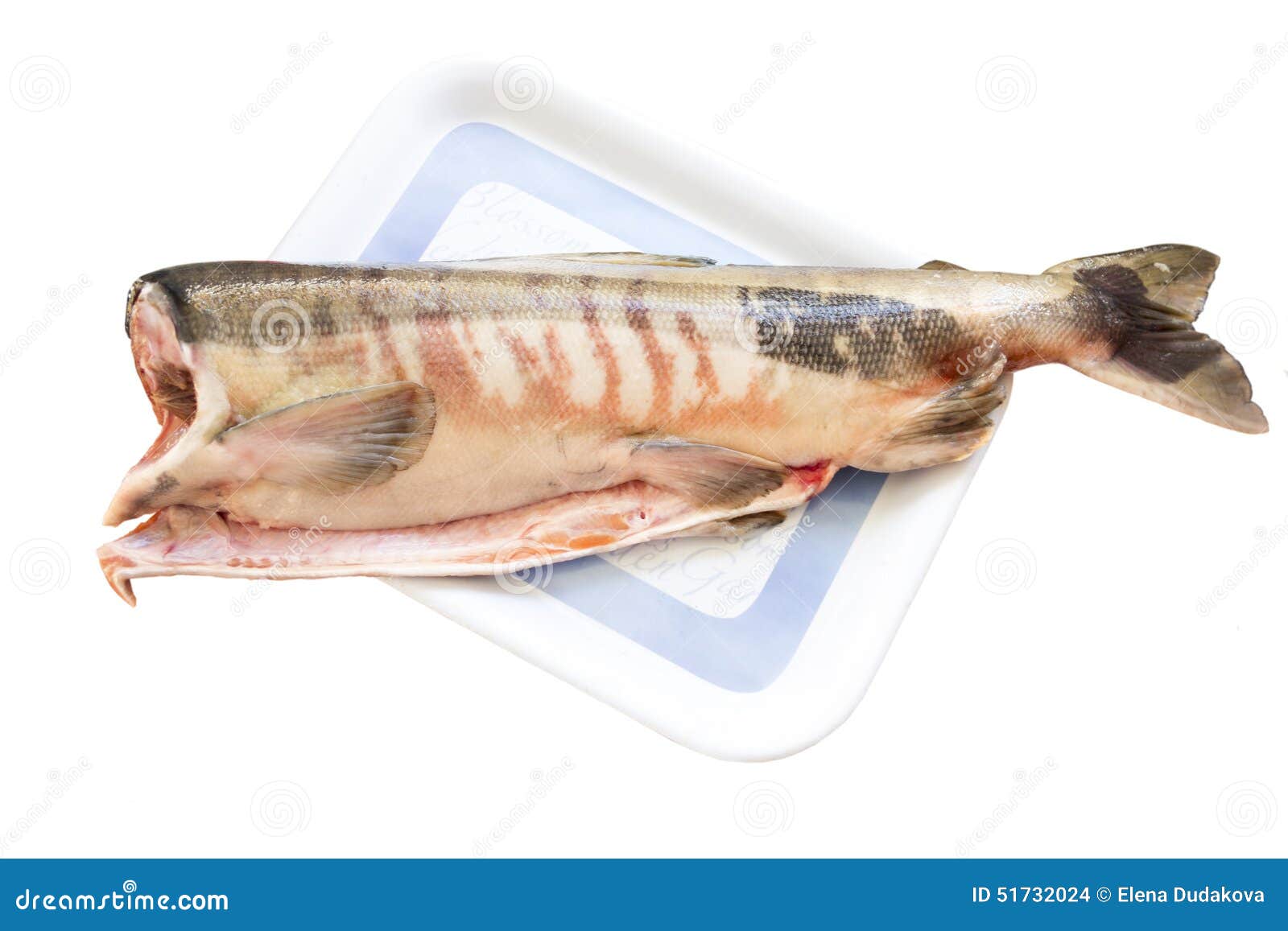 Raw fish chum stock photo. Image of isolated, fresh, natural - 51732024